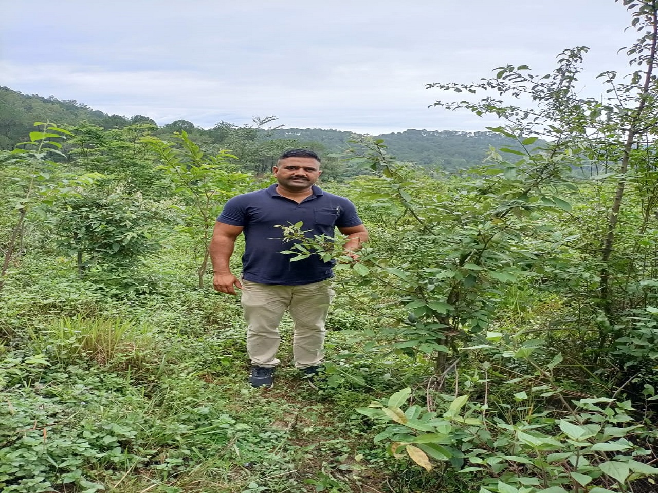 HP Forest Eco-System Climate Proofing Project